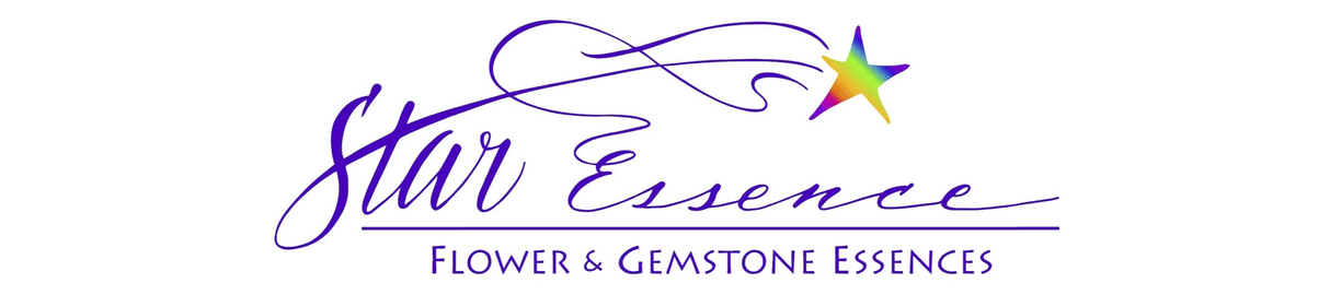 Energy Healing Remedies for Holistic Medicine | Star Essence